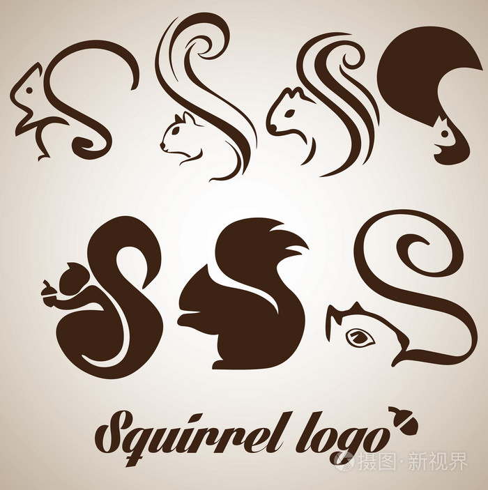 松鼠图片logo松鼠图片壁纸 伤感说说吧