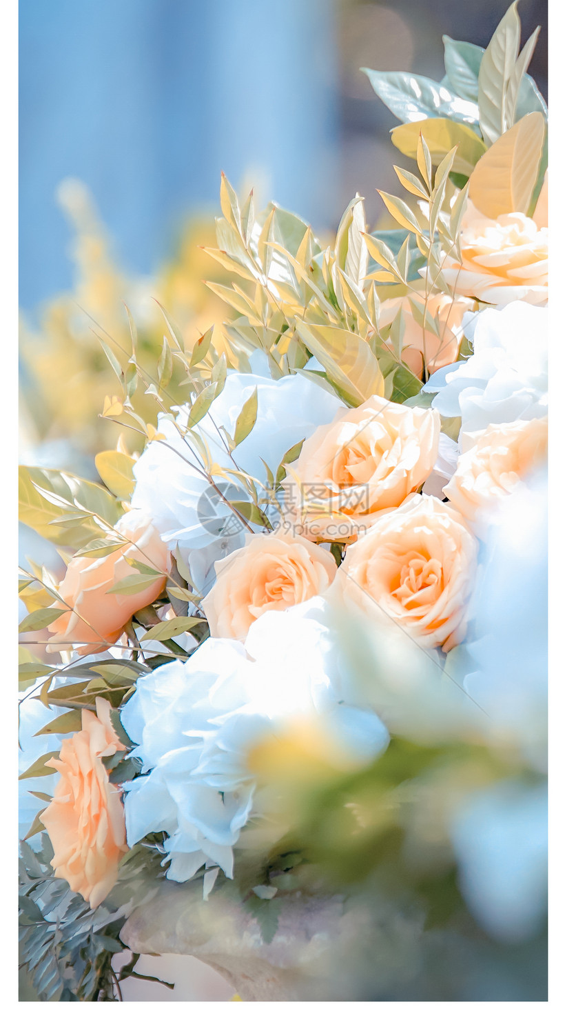 玫瑰手机壁纸模板素材-正版图片400252011-摄图网