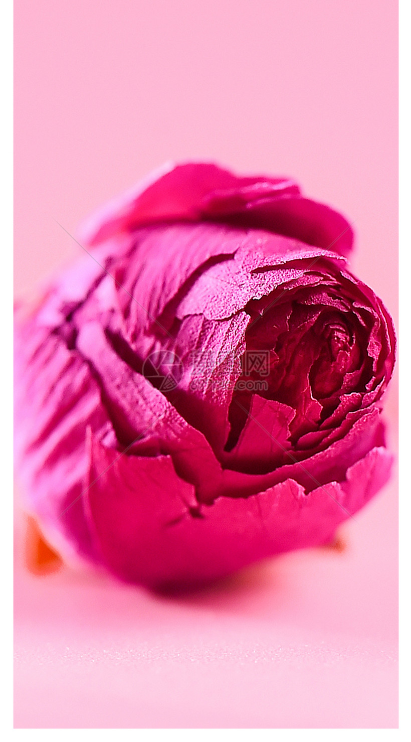 花朵手机壁纸模板素材-正版图片400288240-摄图网