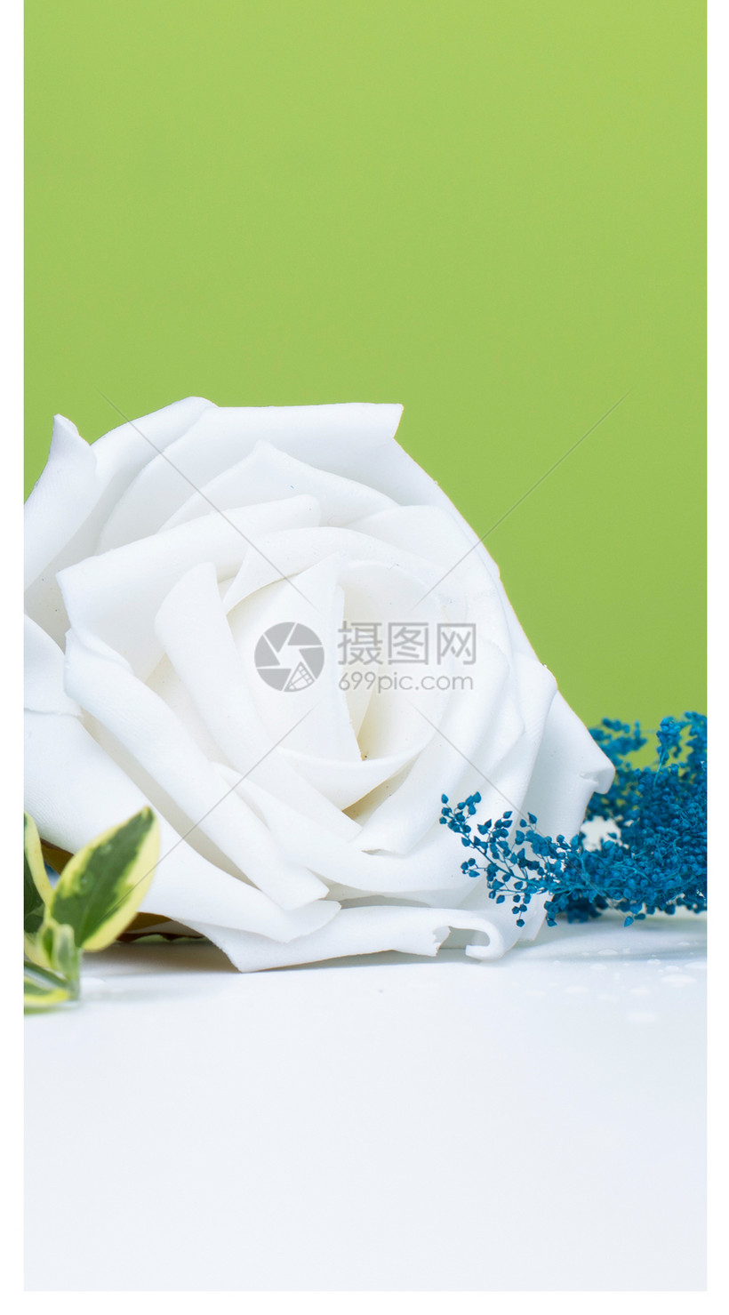 花朵手机壁纸模板素材-正版图片400302897-摄图网