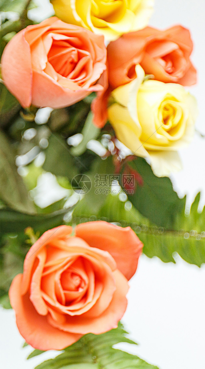 玫瑰手机壁纸模板素材-正版图片400331469-摄图网