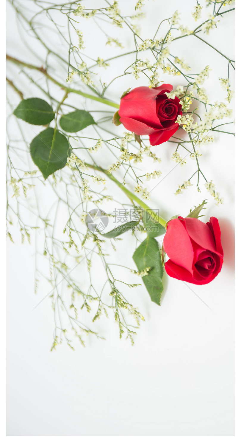 玫瑰手机壁纸模板素材-正版图片400344340-摄图网