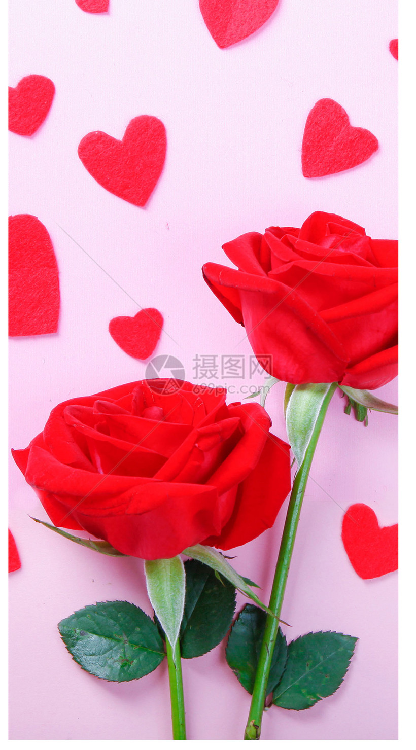 玫瑰手机壁纸模板素材-正版图片400344351-摄图网