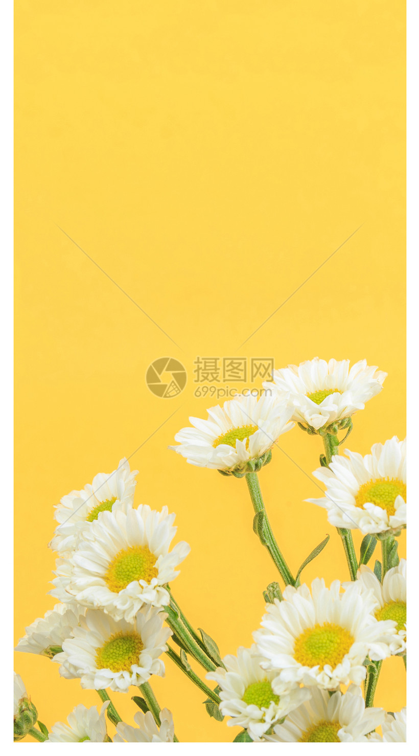 花卉手机壁纸模板素材-正版图片400425042-摄图网