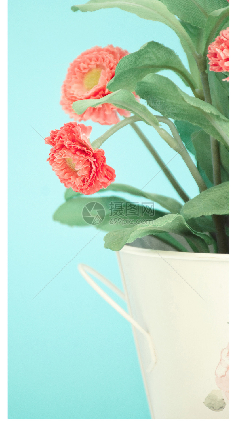 花卉手机壁纸模板素材-正版图片400426020-摄图网