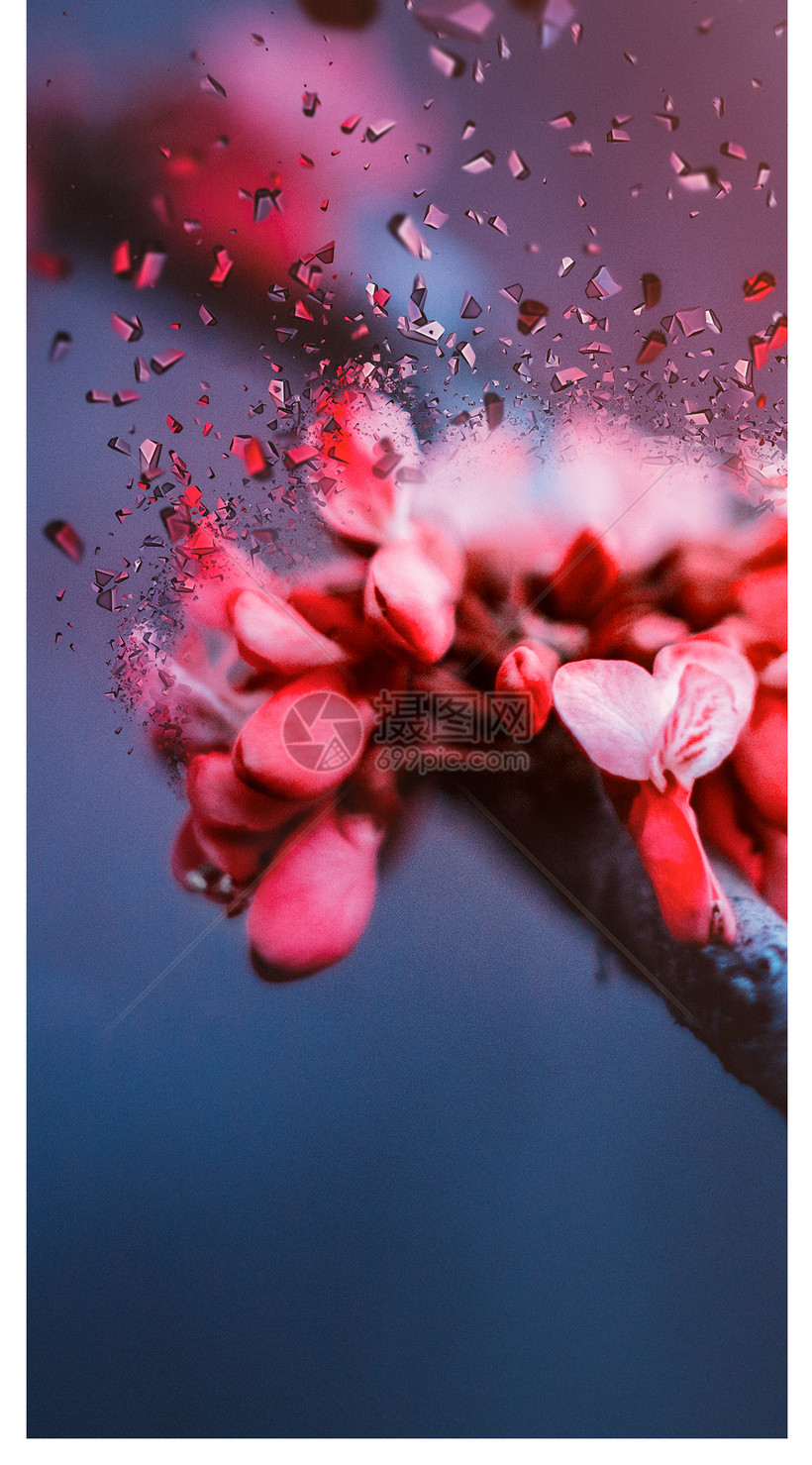 花卉手机壁纸模板素材-正版图片400445421-摄图网