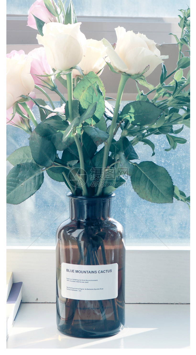 玫瑰手机壁纸模板素材-正版图片400529229-摄图网