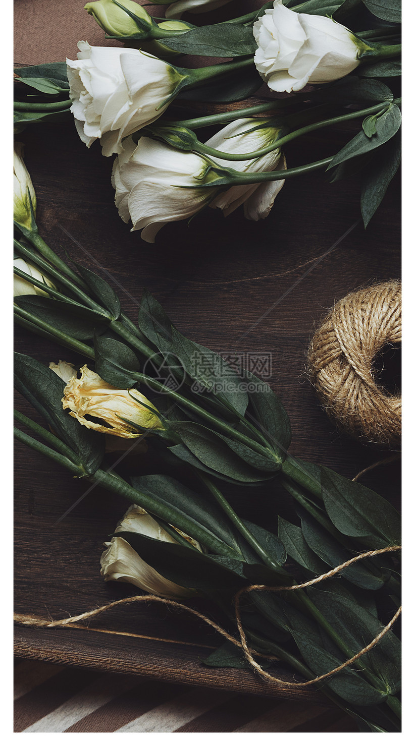 玫瑰花手机壁纸模板素材-正版图片400584040-摄图网