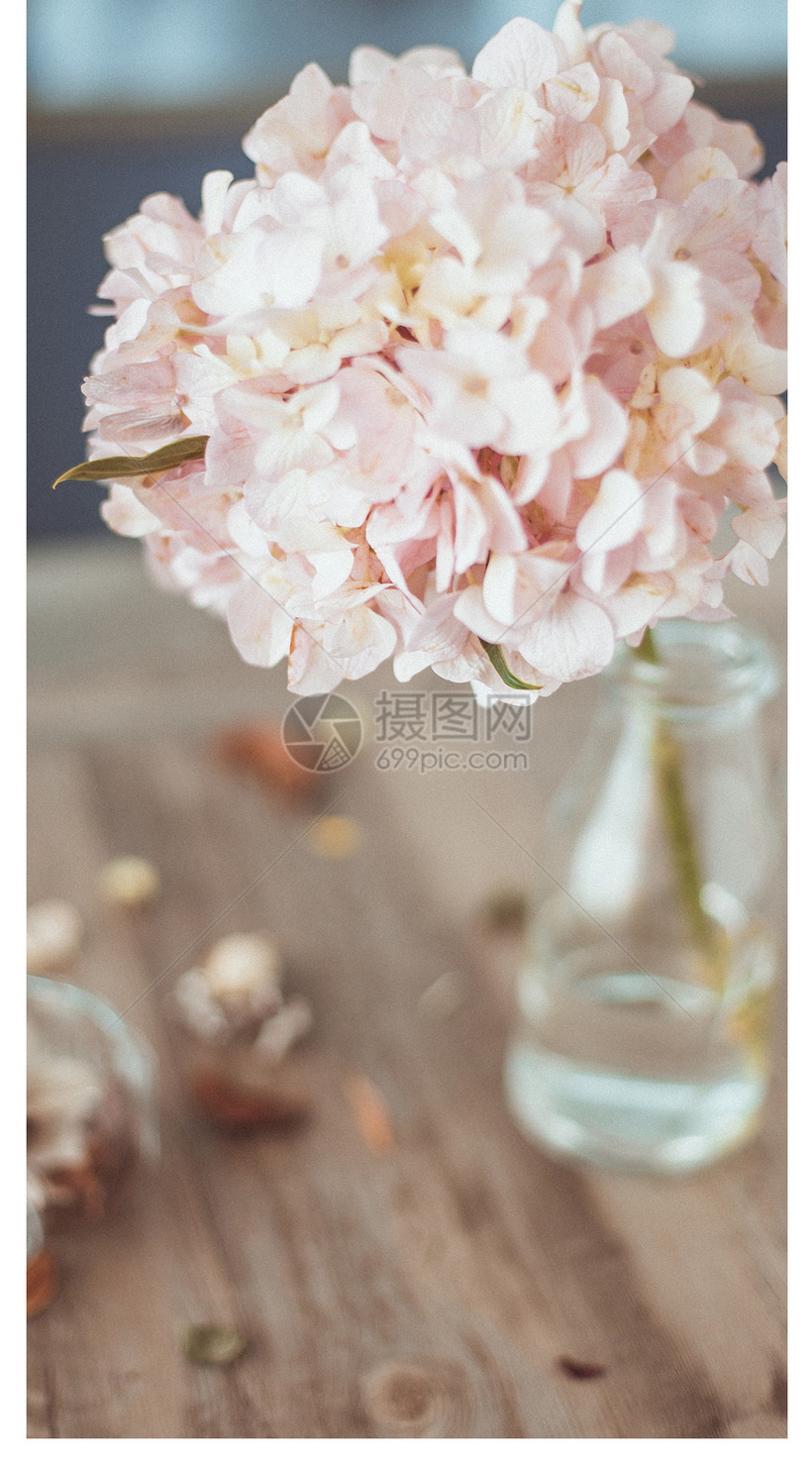 花卉手机壁纸模板素材-正版图片400630975-摄图网