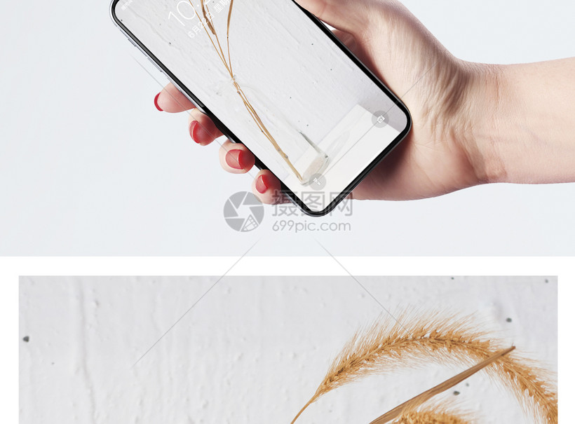 花艺手机壁纸模板素材-正版图片400641615-摄图网