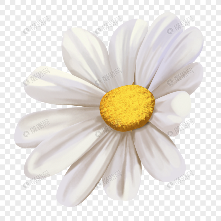 花卉元素素材下载-正版素材400200930-摄图网