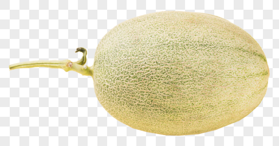 哈密瓜图片_哈密瓜素材_哈密瓜高清图片_摄图网图片下载