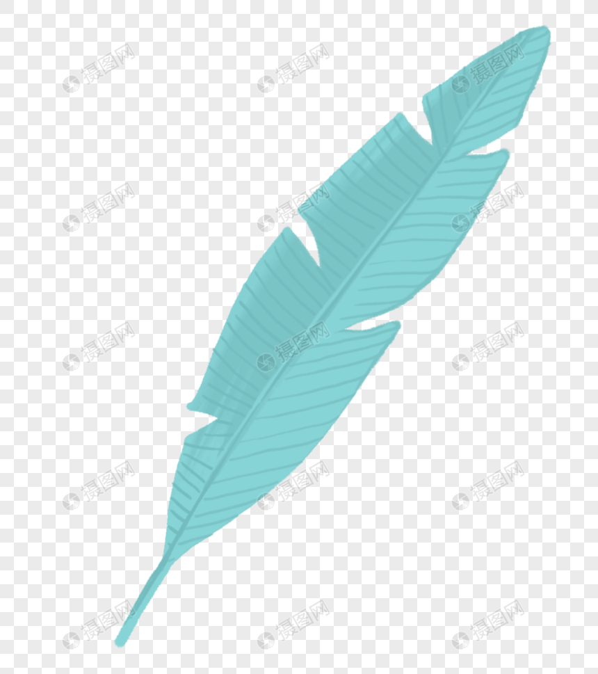 ins风热带植物元素元素素材下载-正版素材400246021-摄图网