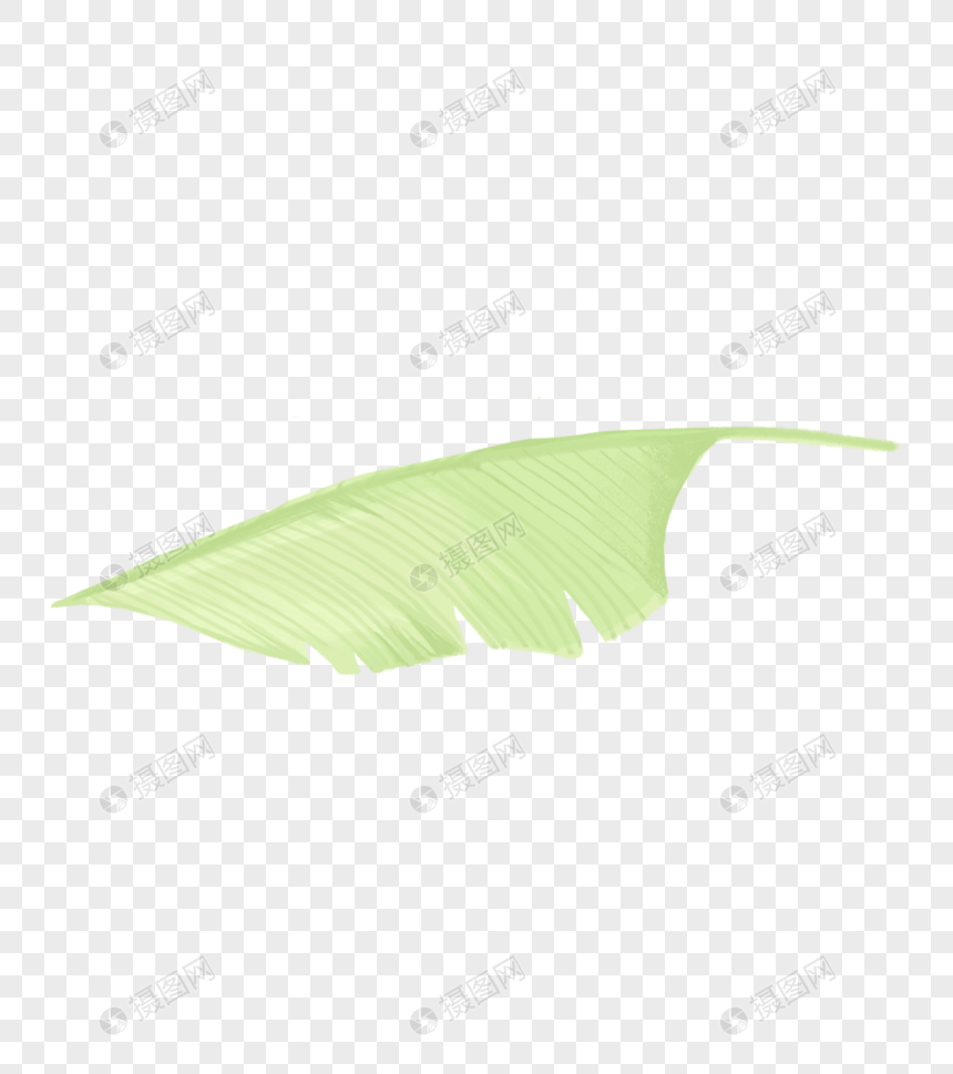 ins风热带植物元素元素素材下载-正版素材400246036-摄图网