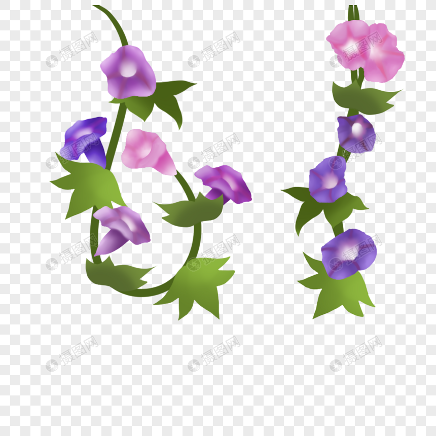 手绘牵牛花元素素材下载-正版素材401091009-摄图网