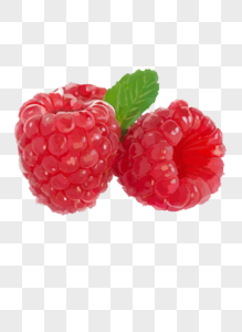 桑葚元素_免抠素材_PNG图片下载-摄图网