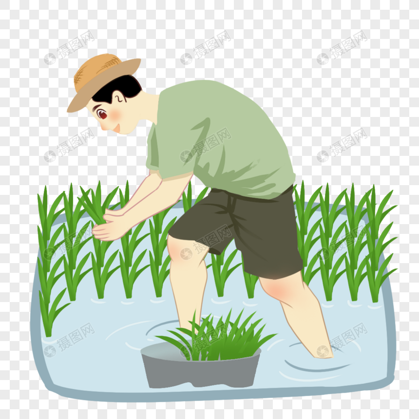 农民伯伯插秧元素素材下载-正版素材401259052-摄图网