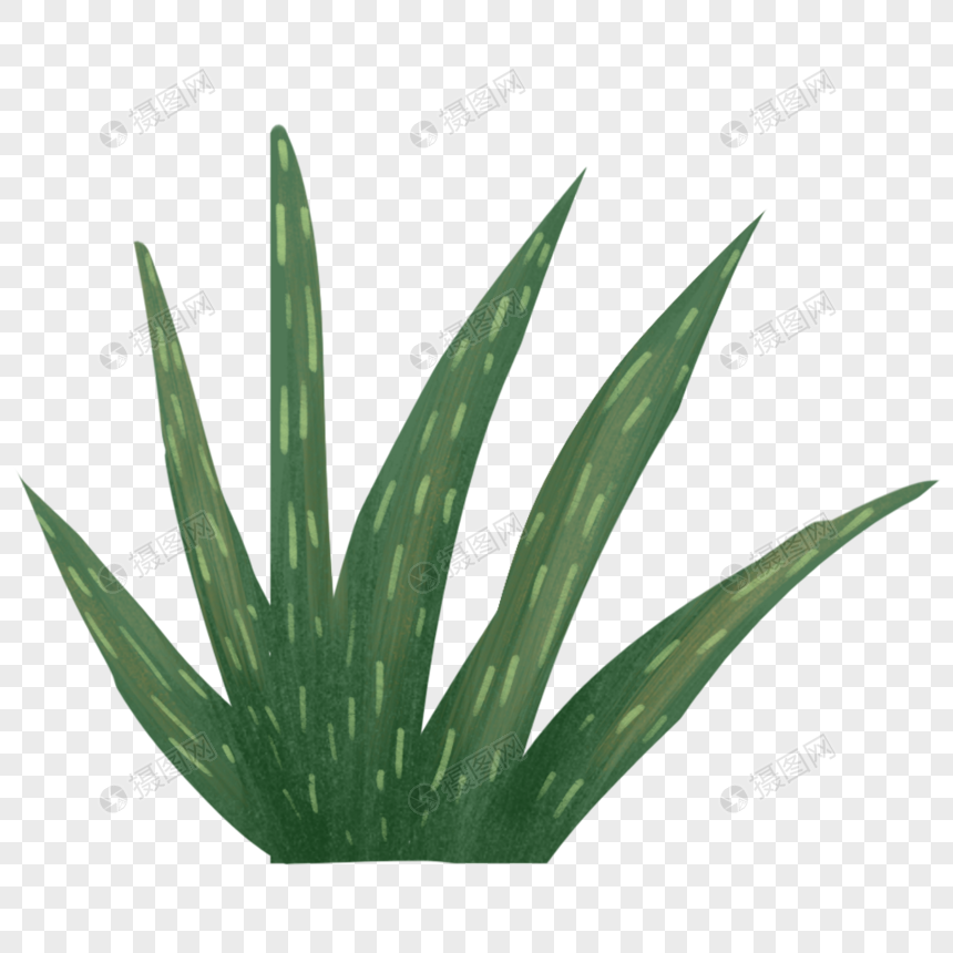 绿色肌理植物元素素材下载-正版素材401317401-摄图网