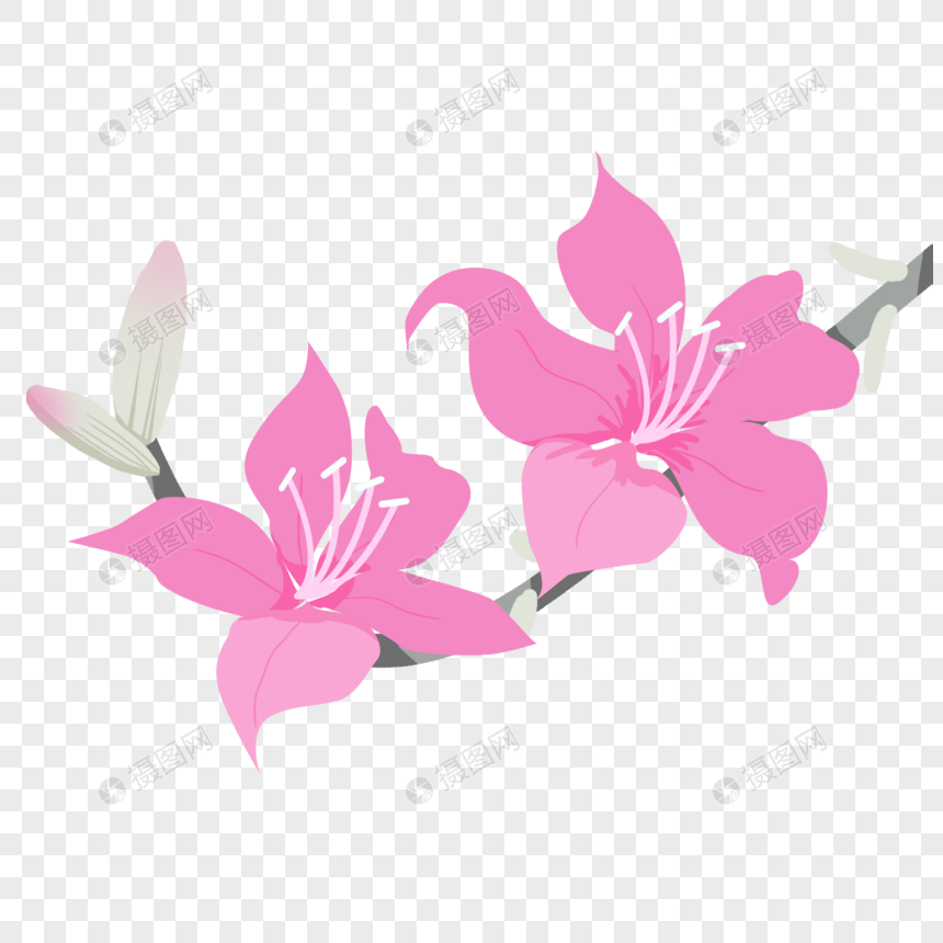 紫金花元素素材下载-正版素材401321259-摄图网