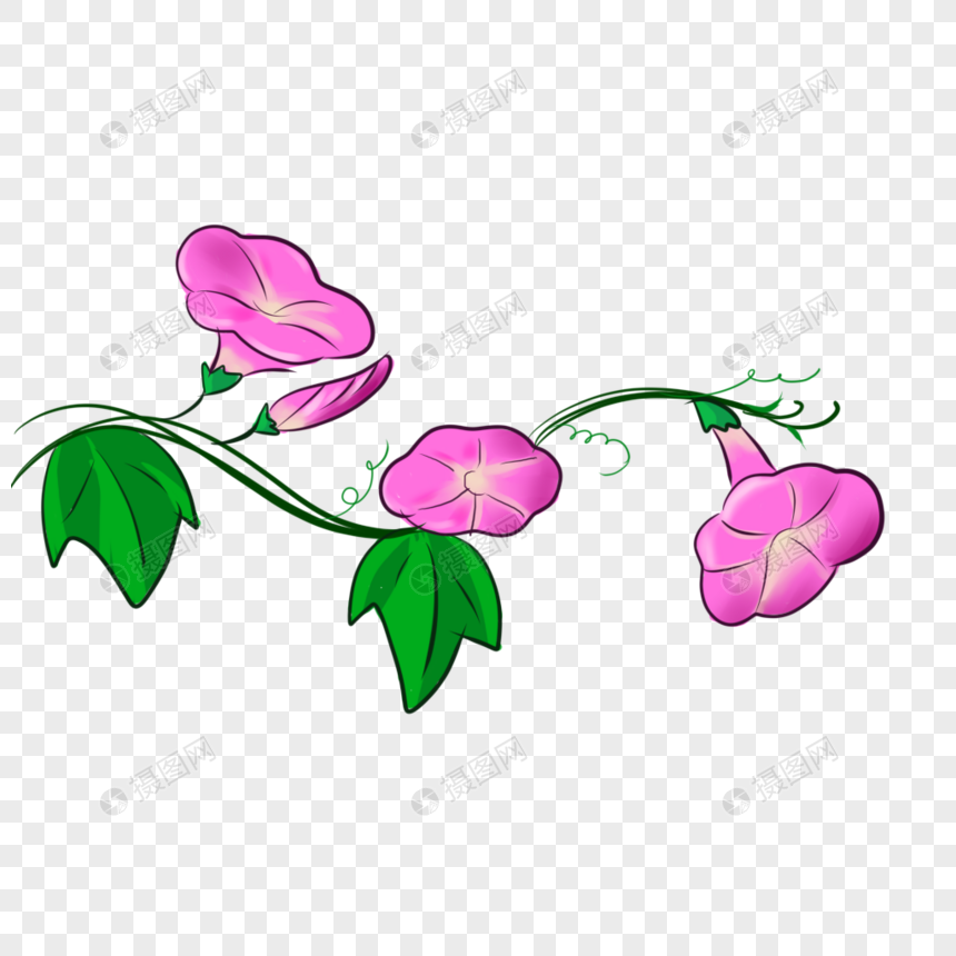 牵牛花元素素材下载-正版素材401438140-摄图网
