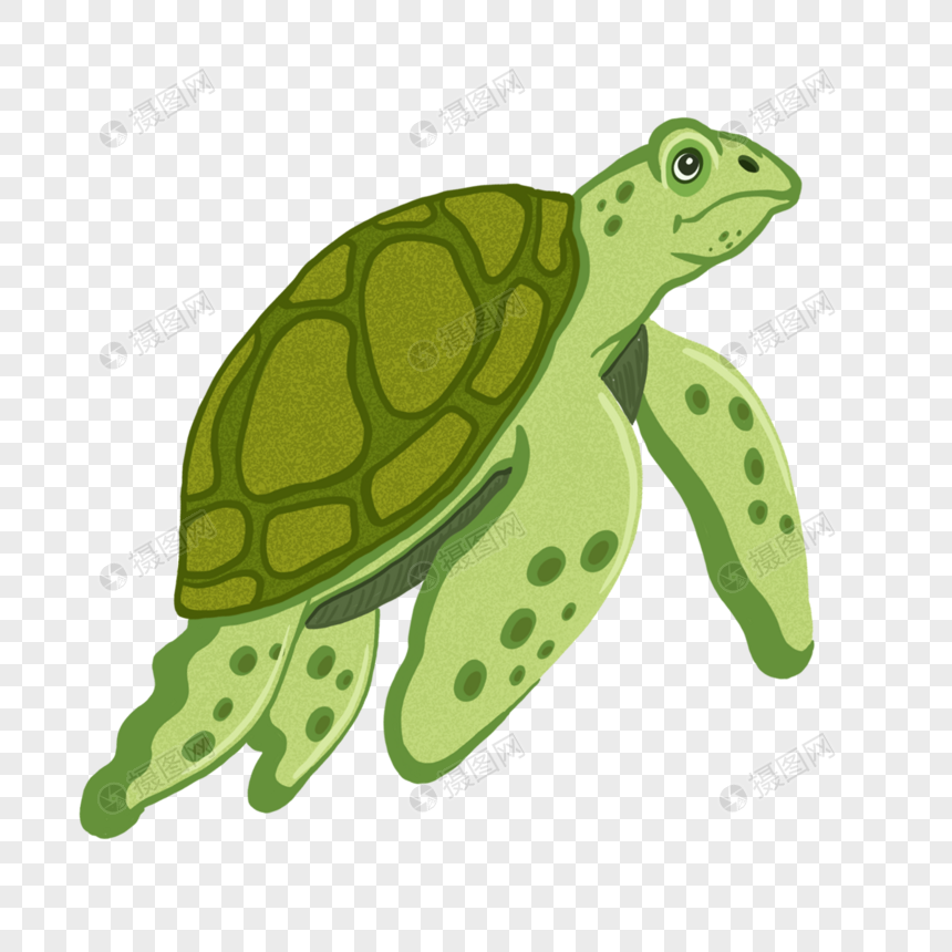 卡通乌龟元素素材下载-正版素材401459522-摄图网