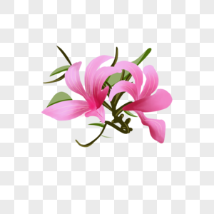 紫荆花元素素材下载-正版素材400220017-摄图网