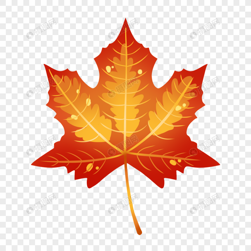 枫叶元素素材下载-正版素材401526606-摄图网