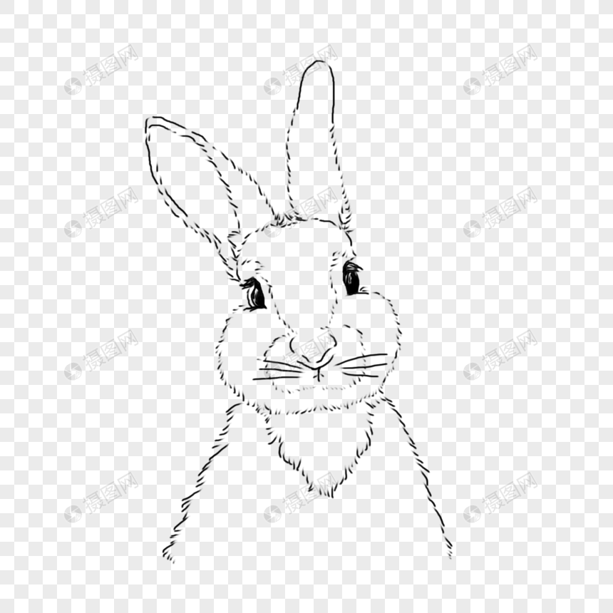 线条兔子元素素材下载-正版素材401528231-摄图网
