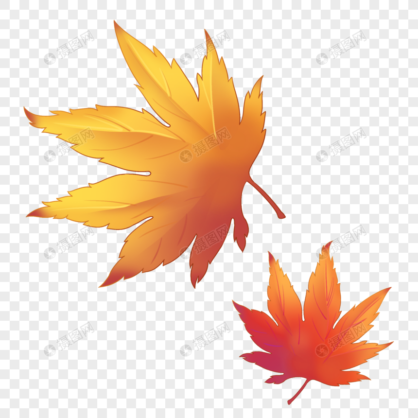 枫叶元素素材下载-正版素材401547541-摄图网