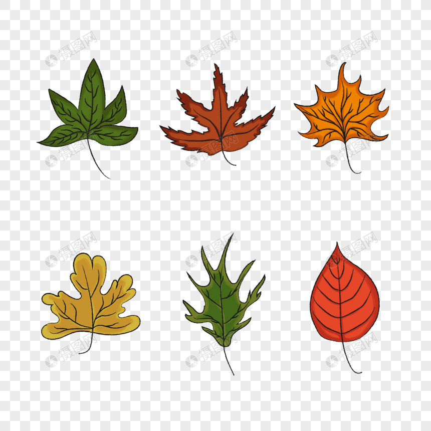 手绘枫叶合集元素素材下载-正版素材401559212-摄图网