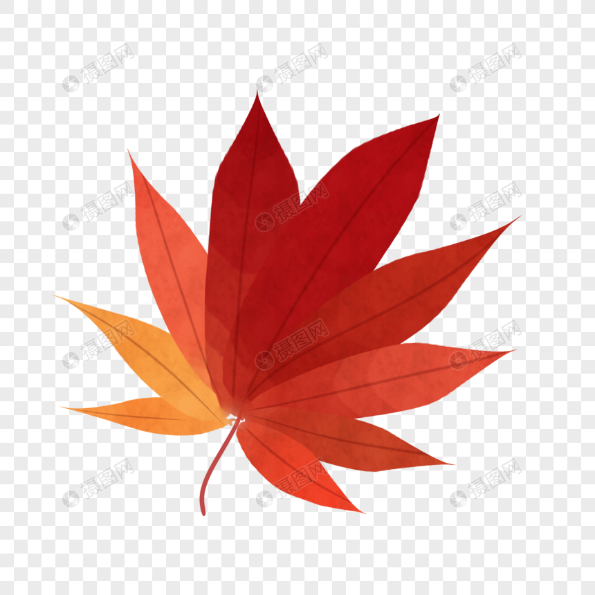 创意枫叶插图元素素材下载-正版素材401569260-摄图网