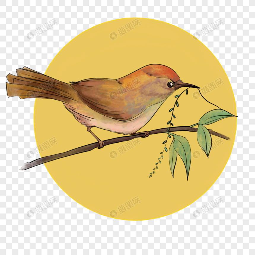 手绘卡通夜莺元素素材下载-正版素材401717683-摄图网