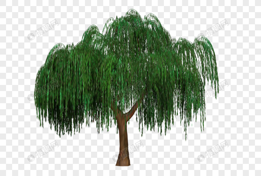 Rhino树木模型元素素材下载-正版素材401905745-摄图网