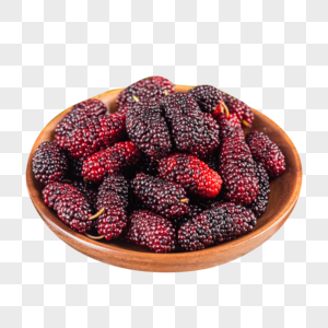 桑葚元素_免抠素材_PNG图片下载-摄图网