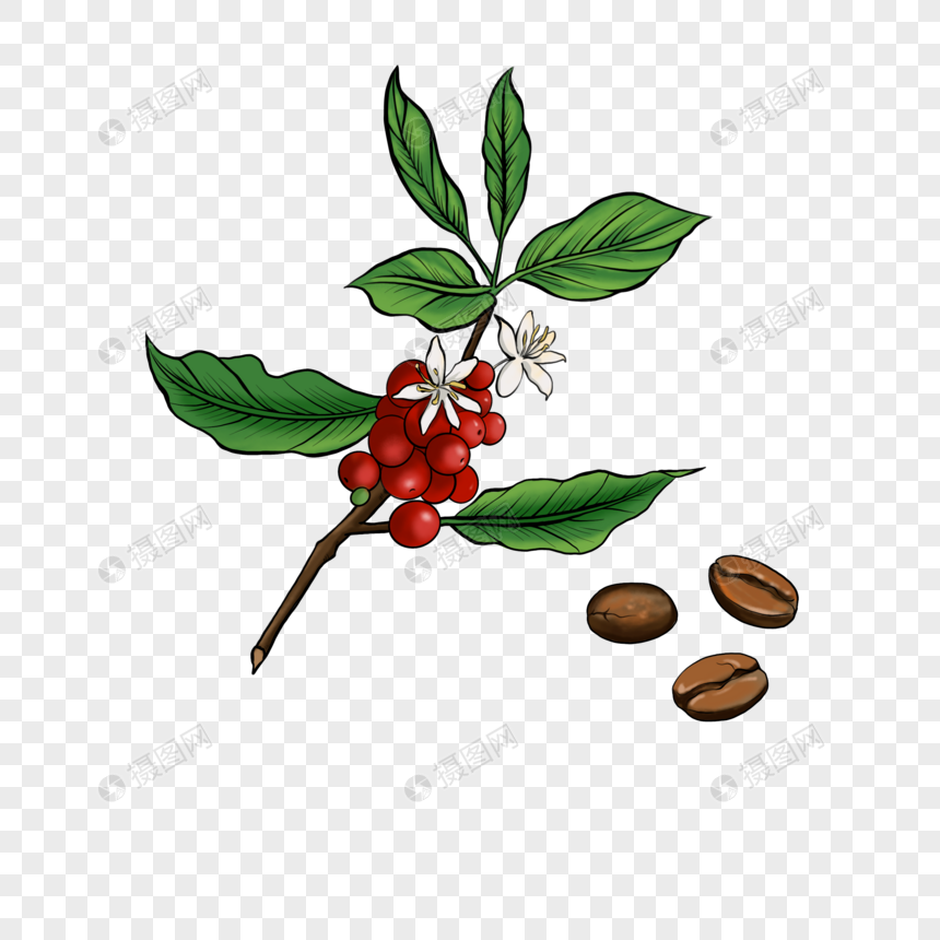 咖啡树元素素材下载-正版素材402034362-摄图网