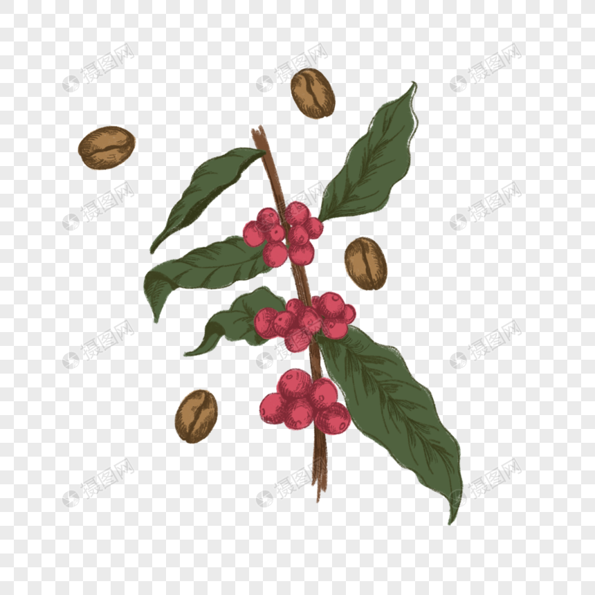 咖啡树剪贴画元素素材下载-正版素材402038990-摄图网