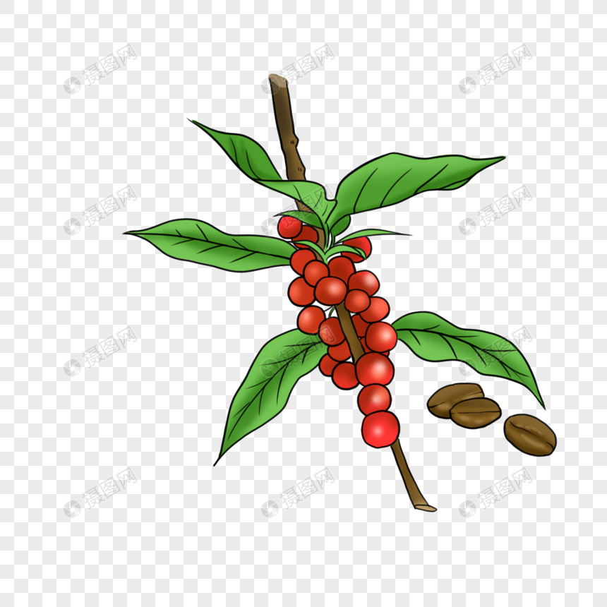 咖啡树元素素材下载-正版素材402039442-摄图网