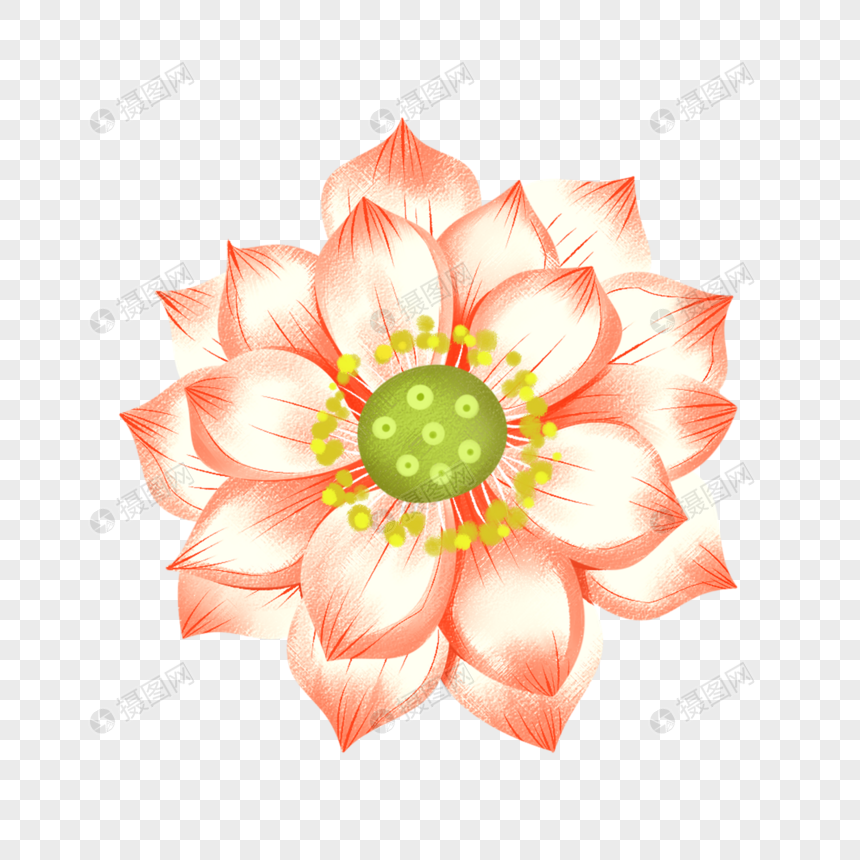 莲花元素素材下载-正版素材402491367-摄图网