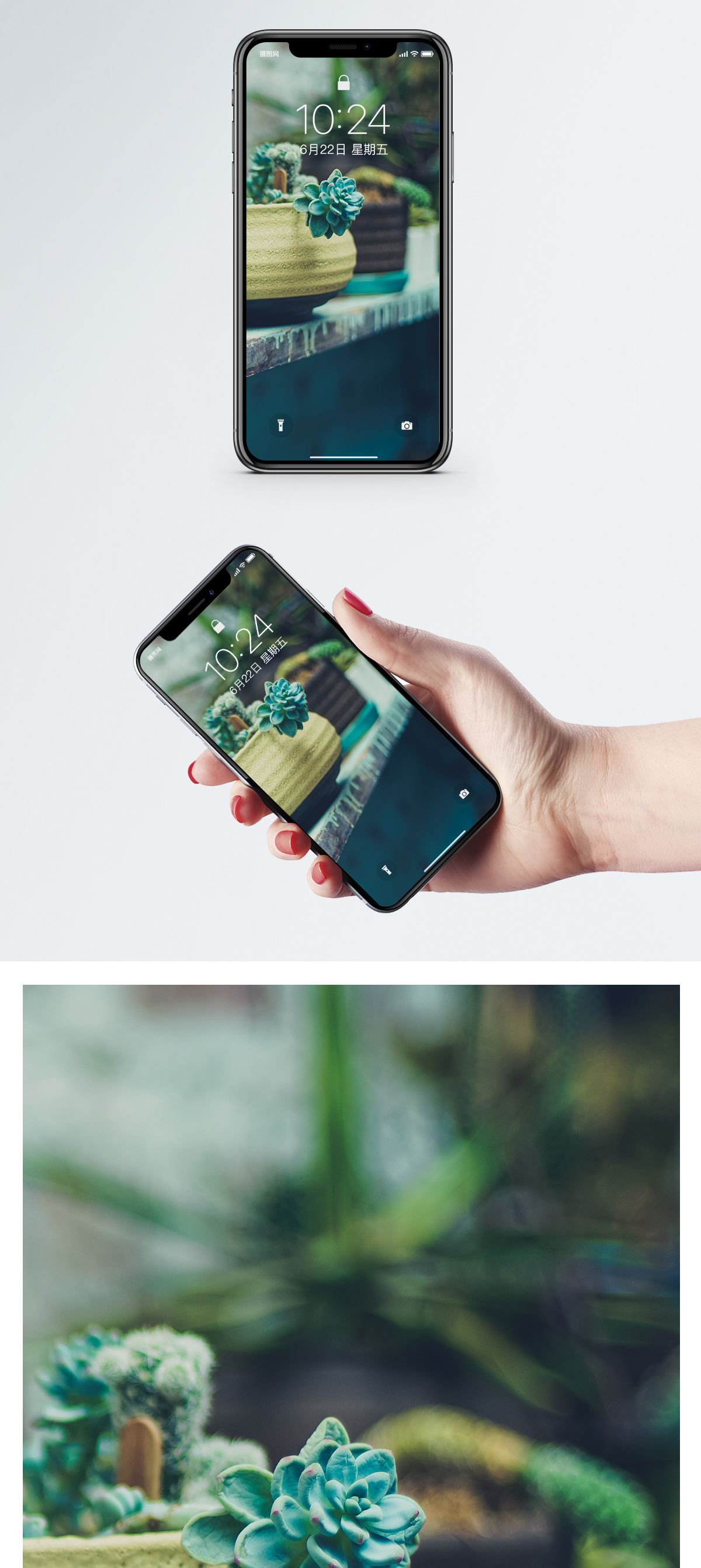花艺配图-花艺手机微信图片-摄图网