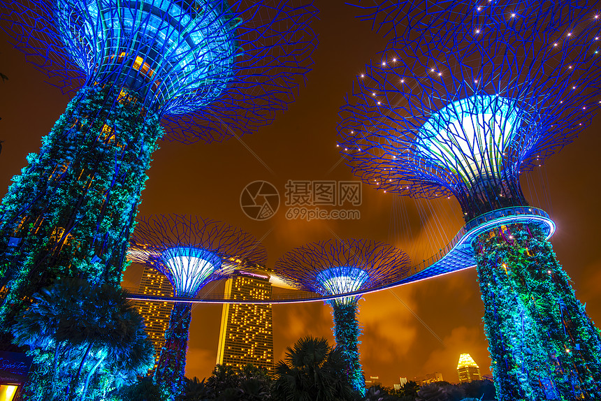 新加坡海湾花园夜间的超级树花园高清图片下载-正版图片300876472-摄图网