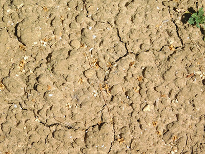 地面矢量图_地面矢量图图片_地面矢量图图片素材大全_摄图网