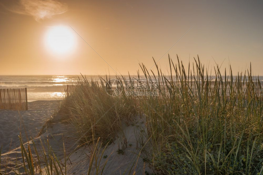 在波尔图加的阿维罗地区波尔图海滩奥瓦尔波图加的阿维罗地区奥尔的波杜罗海滩日落高清图片下载-正版图片303367408-摄图网