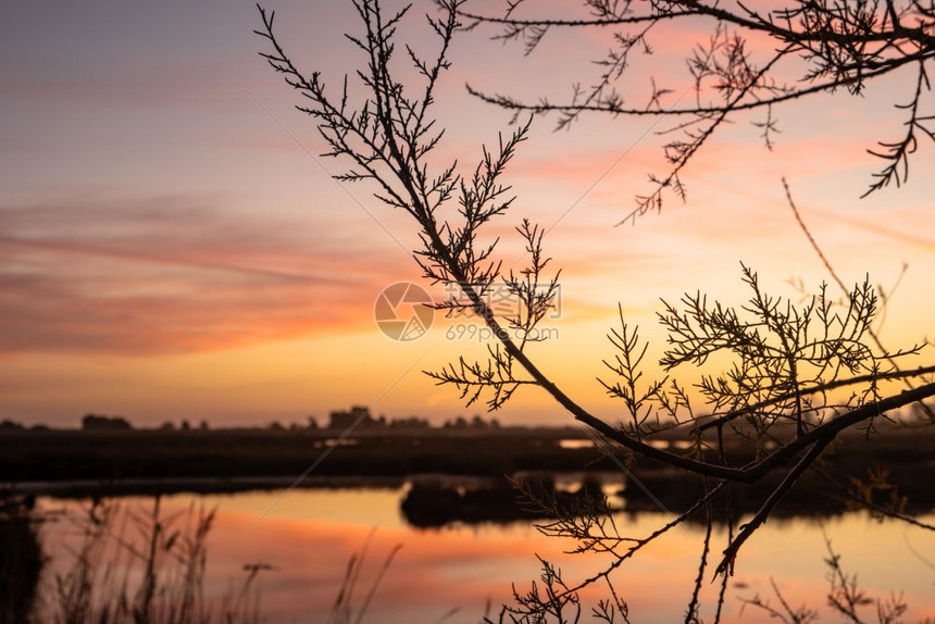 亚维罗奥瓦尔波图加的日落高清图片下载-正版图片303438088-摄图网