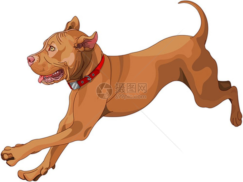 奔跑的小狗卡通矢量插画插画图片下载-正版图片303449672-摄图网