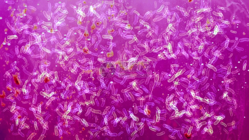 显微镜下的许多细菌高清图片下载-正版图片303705432-摄图网