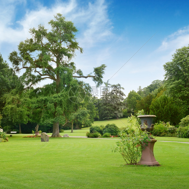 公园中美丽的草地高清图片下载-正版图片304158698-摄图网