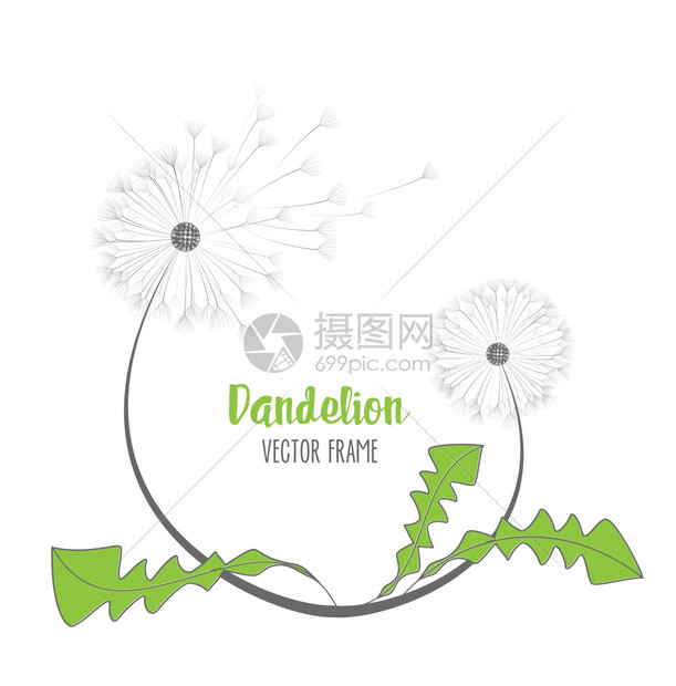 蒲公英矢量插图插画图片下载-正版图片304250130-摄图网