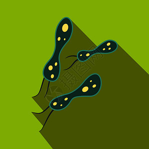 显微镜下的微生物卡通矢量插画插画图片下载-正版图片306576133-摄图网