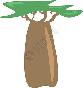 猴面包树插画_猴面包树卡通_猴面包树插图_手绘_板绘_摄图网