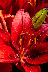 微视logo图片_微视logo素材图片大全_摄图网